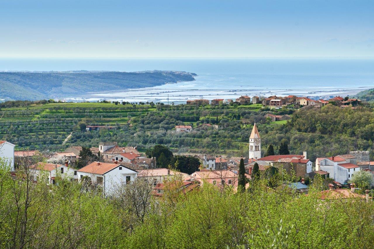 The Momjan muscat trail - Green Heart of Istria